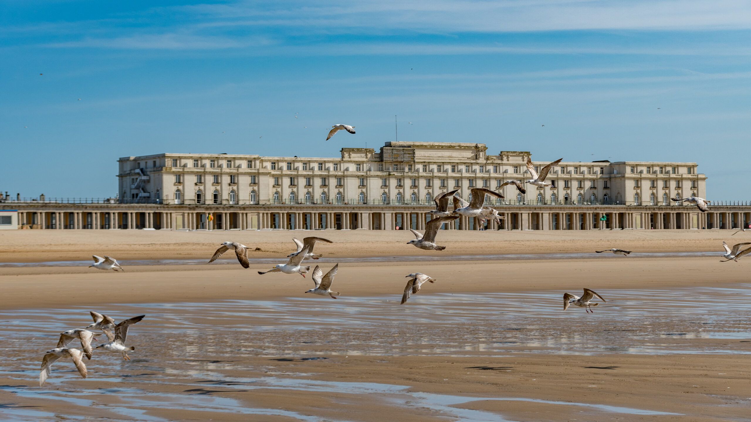 Ein sinnlicher Urlaub an der belgischen Nordseeküste. - Jonas' Blog